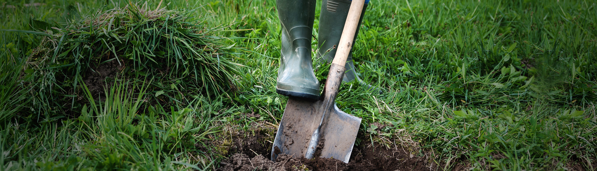 Minnesota Energy Resources